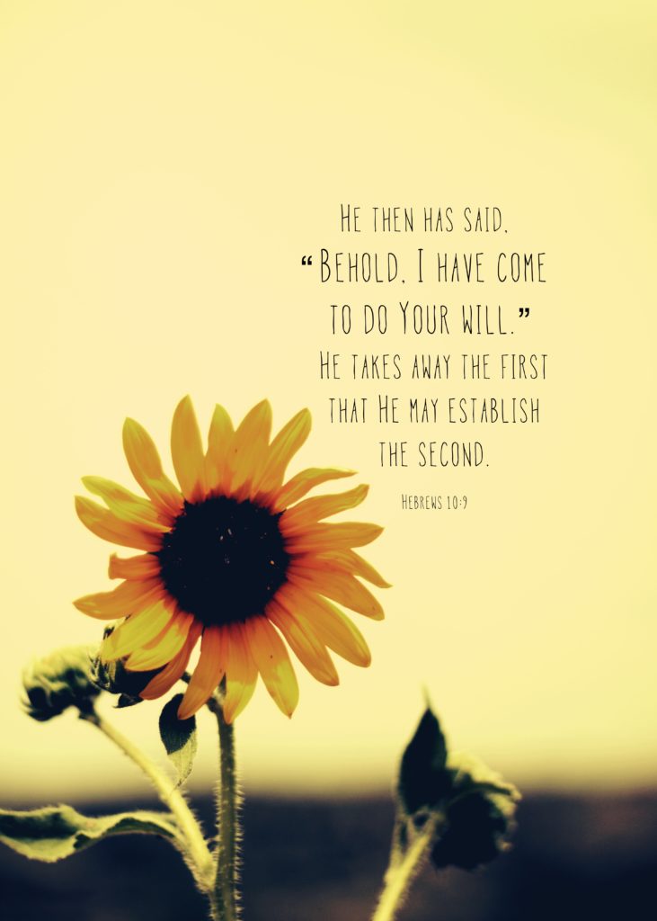 Hebrews 10:9 He then has said, "Behold, I have come to do Your will ...
